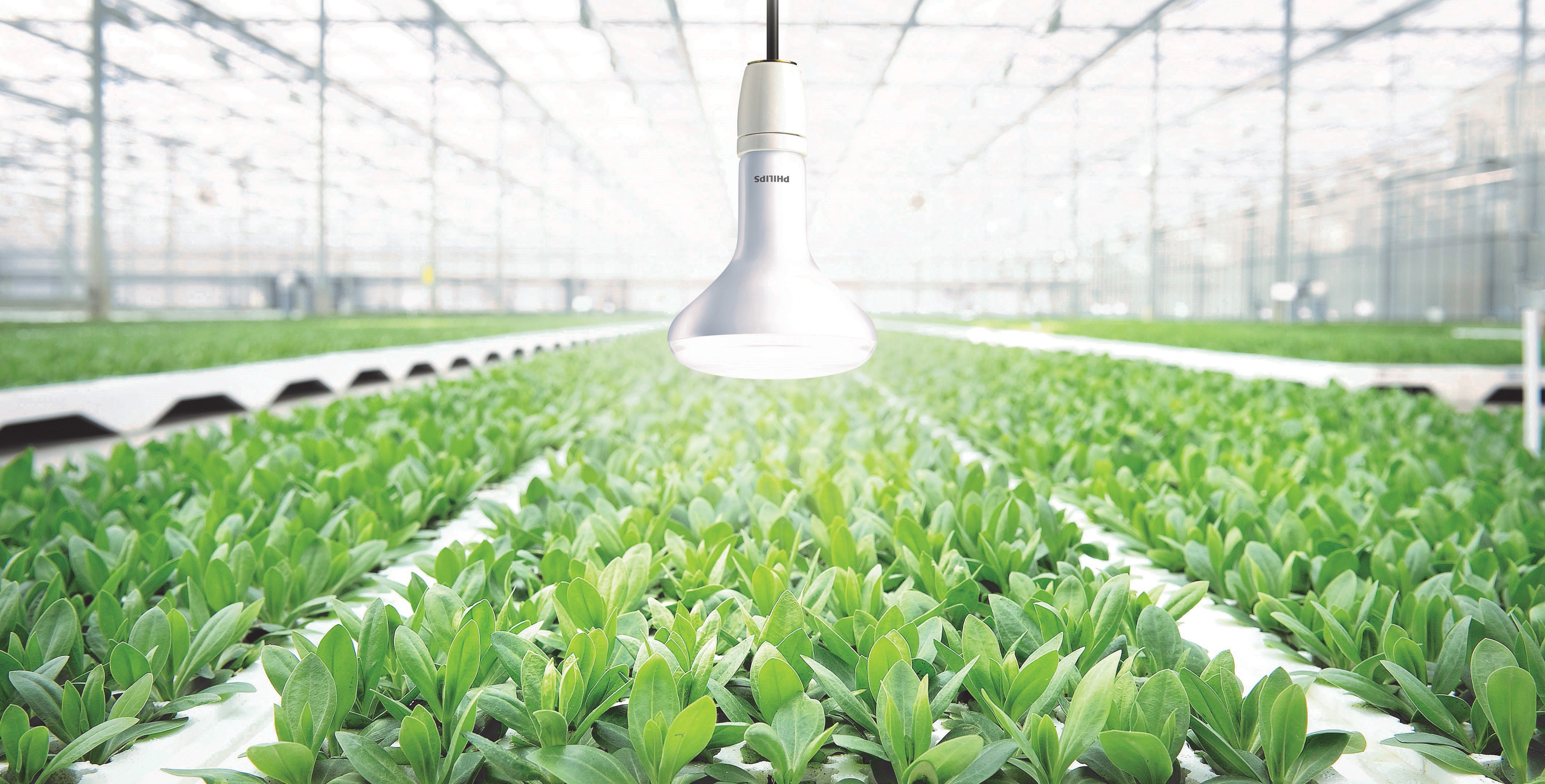 Philips Lighting levert nieuwe generatie energie-efficiënte LED lampen ...